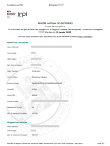 Comment obtenir l’extrait RNE de sa micro-entreprise